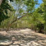 From Cancun: Tulum and Coba Tour with a cenote visit and buffet lunch - What Travelers Say