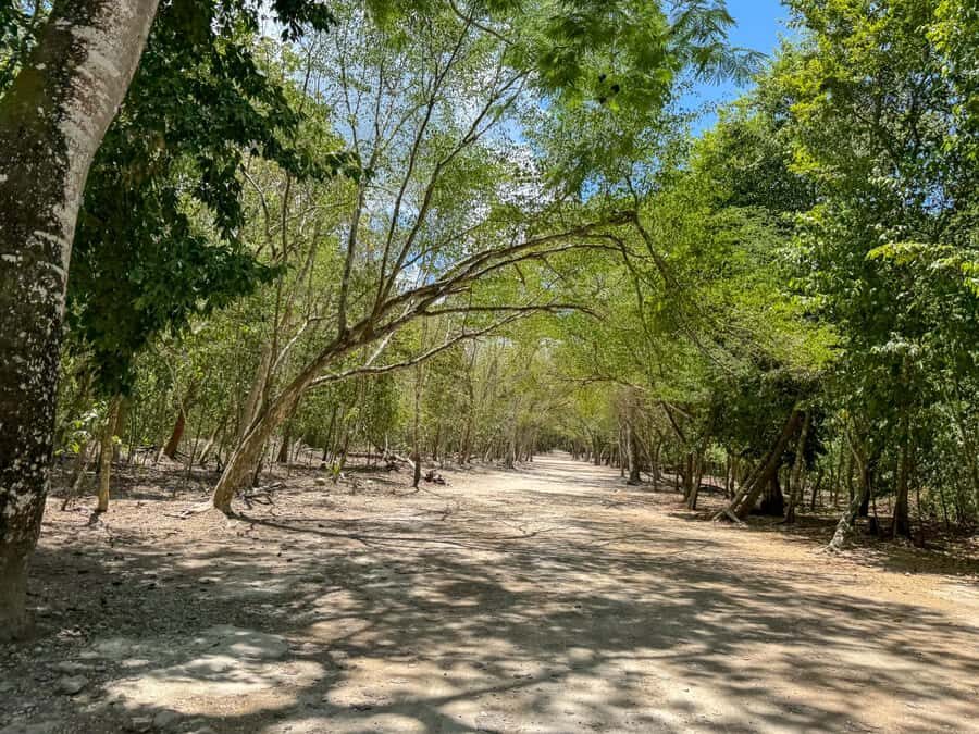 From Cancun: Tulum and Coba Tour with a cenote visit and buffet lunch - What Travelers Say