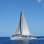 From Castries: Full-Day Catamaran Tour to Soufriere - The Breakdown of the Itinerary