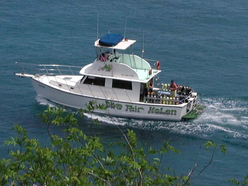 From Castries: St. Lucia Scuba Diving Excursion - Why This Tour Offers Great Value