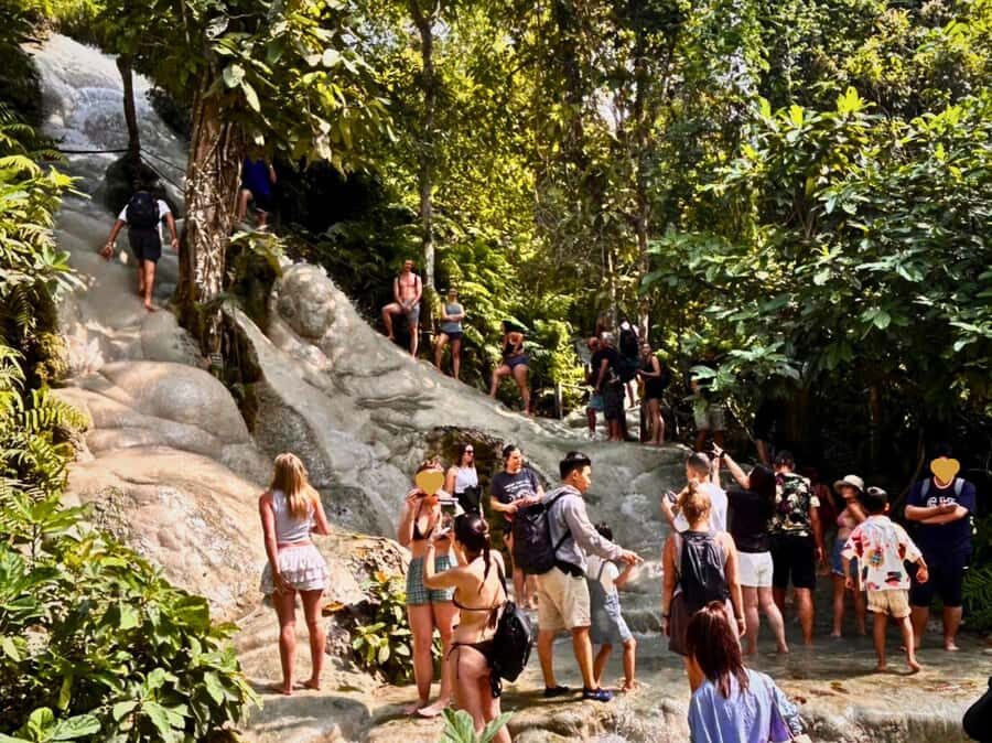 From Chang Mai: Sticky Waterfall Private Day Trip - What to Expect