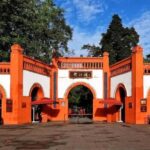 From Chengdu: Dujiangyan & Bipeng Valley 2-Day Tour - Practical Details and Travel Experience