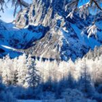 From Chengdu:Bipeng Valley Day Trip - Is This Tour Worth the Price?