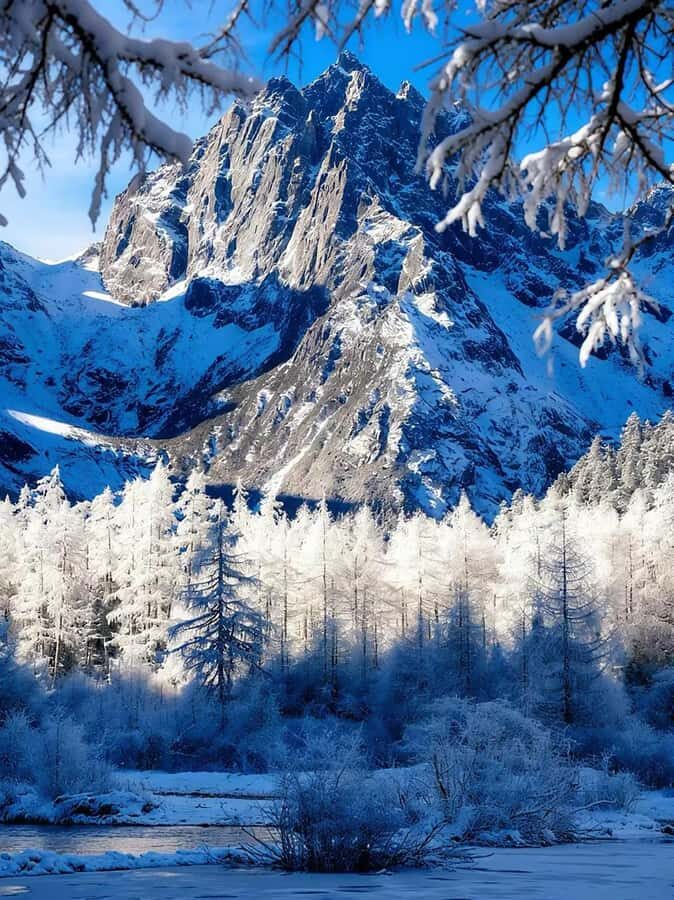 From Chengdu:Bipeng Valley Day Trip - Is This Tour Worth the Price?