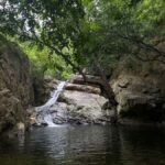 From Chennai: Waterfalls Guided Trek with Trek Guide & Lunch - What the Experience Tells You About Local Culture and Conservation