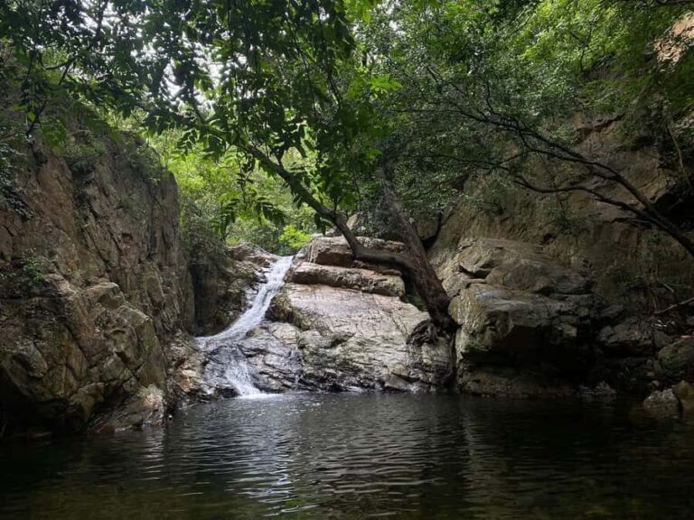 From Chennai: Waterfalls Guided Trek with Trek Guide & Lunch - What the Experience Tells You About Local Culture and Conservation