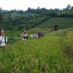 From Chiang Mai: 2-Day Trek with Hill Tribe Stay & Elephants - The Itinerary in Detail: What You Can Expect