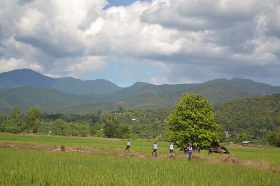 From Chiang Mai: 2 days Cycling & Kayaking tour in Mae Taeng - Practical Insights for Travelers