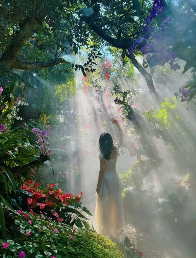 From Chiang Mai: Chiang Rai Temples & Lalitta Cafe Tour - Exploring Chiang Rai’s Iconic Temples