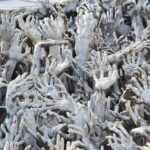 From Chiang Mai: Chiang Rai's Temples and Golden Triangle - The Three Tour Options — Customizing Your Day