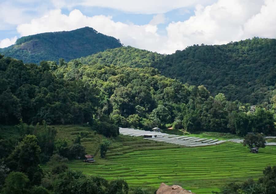 From Chiang Mai: Doi Inthanon National Park Day Trip & Hike - Culinary Delights and Rest Before the Hike