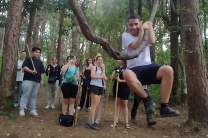 From Chiang Mai: Doi Inthanon Park & Pha Dok Siew Waterfall Hike - What Travelers Say