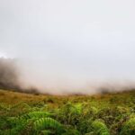 From Chiang Mai: Doi Inthanon Park, Waterfall & Lunch Tour - Authentic Experiences and Practical Tips