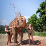 From Chiang Mai: Elephant Jungle Sanctuary Tour & Lunch - Deep Dive into the Itinerary
