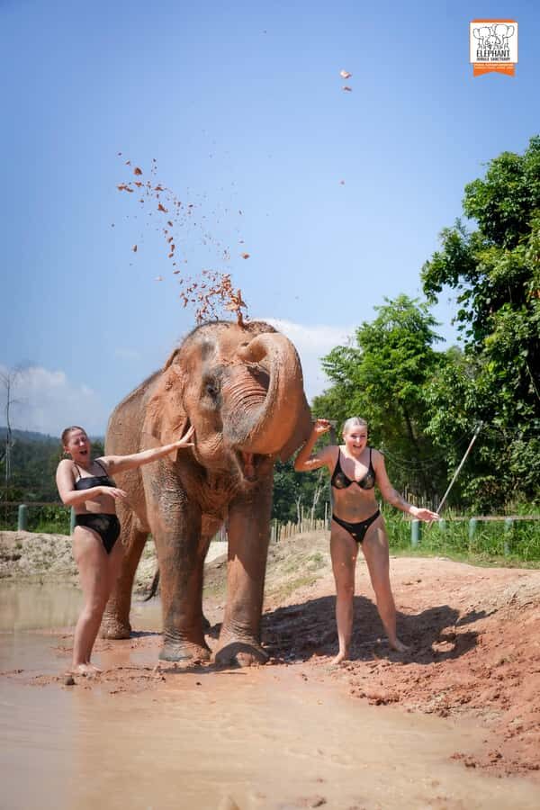 From Chiang Mai: Elephant Jungle Sanctuary Tour & Lunch - Deep Dive into the Itinerary