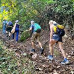 From Chiang Mai: High Mountain Day Trek - Why This Tour Offers Great Value