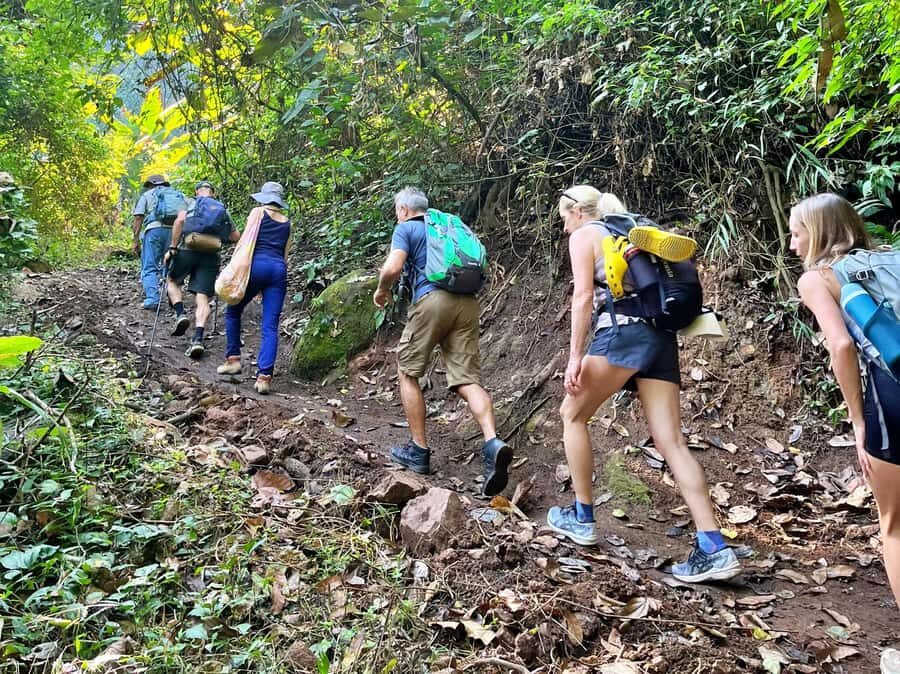 From Chiang Mai: High Mountain Day Trek - Why This Tour Offers Great Value