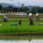 From Chiang Mai: Mae Taeng Valley Hike & Bike Day Trip - Value and Practical Tips