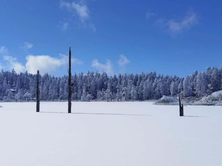 From Chongqing: Wawu Mountain 2-Day Winter Scenic Tour - Who Will Appreciate This Tour?