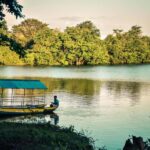 From Colombo: Anuradhapura Guided Day Tour of Ancient Ruins - Authentic Experiences and Traveler Feedback