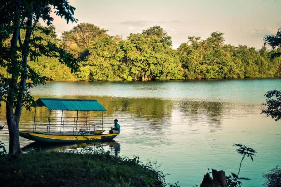 From Colombo: Anuradhapura Guided Day Tour of Ancient Ruins - Authentic Experiences and Traveler Feedback