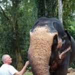 From Colombo: Kandy and Pinnawala Full-Day Trip - The Temple of the Sacred Tooth