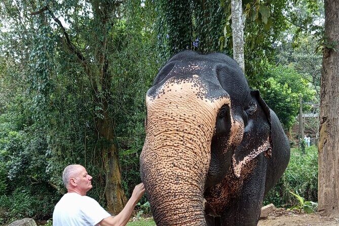 From Colombo: Kandy and Pinnawala Full-Day Trip - The Temple of the Sacred Tooth