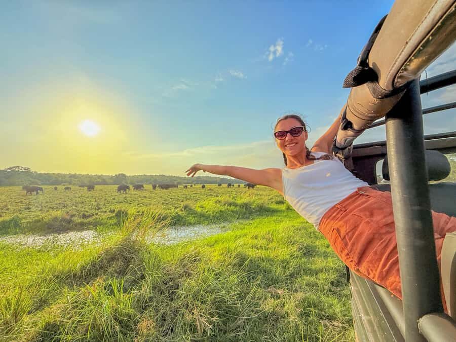 From Colombo: Private 2-Day Trip Dambulla, Sigiriya & Safari - Transport and Comfort: What’s the Experience Like?