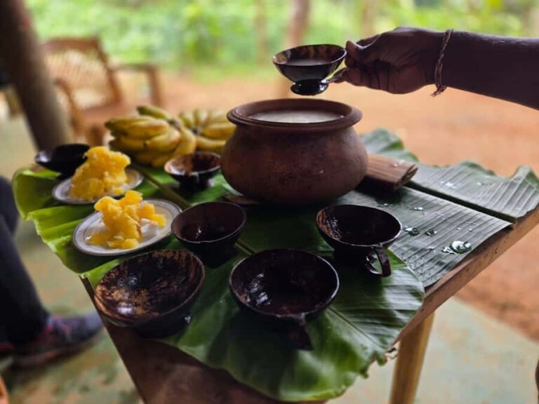 From Colombo: Sinharaja Kithul Toddy Tasting & Stream Bath - Arrival and Welcome Refreshments