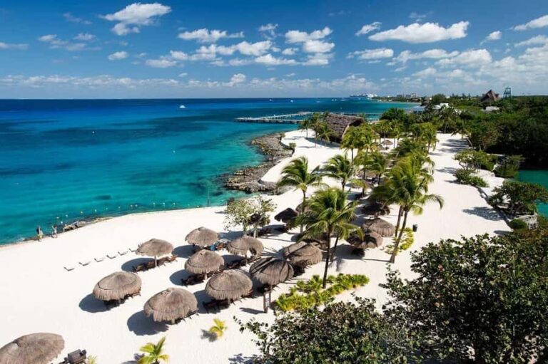 From Cozumel: Chankanaab Admision + Snorkel +Open Bar +Lunch - Is This Tour Worth It?