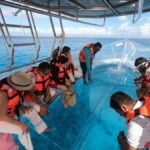 From Cozumel: Invisible Boat tour with Snorkeling - The Itinerary in Detail