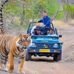 From Delhi: 4-Day Golden Triangle & Ranthambore Tiger Safari - The Value of This Tour