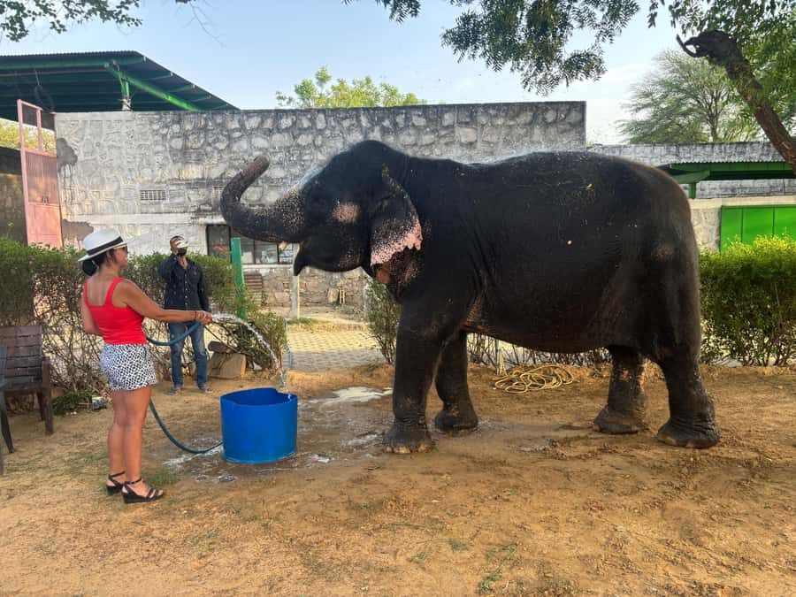 From Delhi: Jaipur Guided City Tour By AC Car - Price and Value