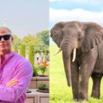 From Delhi: Taj Mahal & Agra Tour With Elephant Conversation - Highlights and Benefits of the Tour