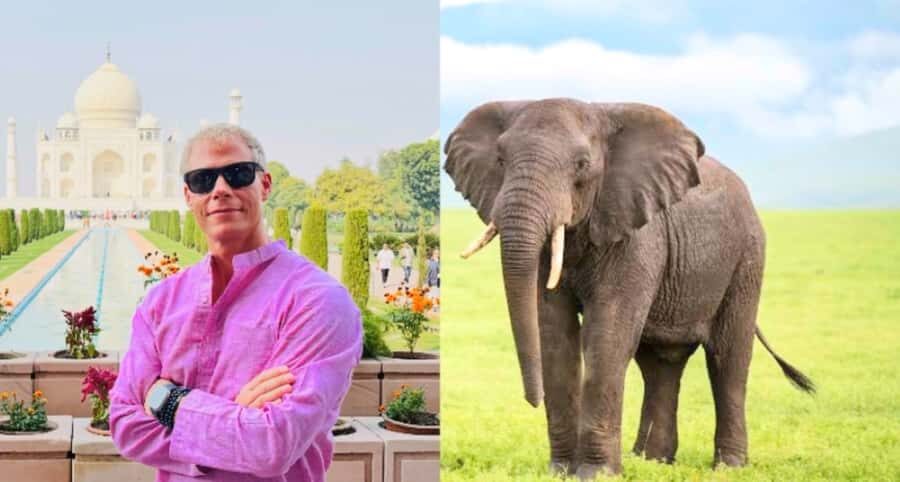 From Delhi: Taj Mahal & Agra Tour With Elephant Conversation - Highlights and Benefits of the Tour