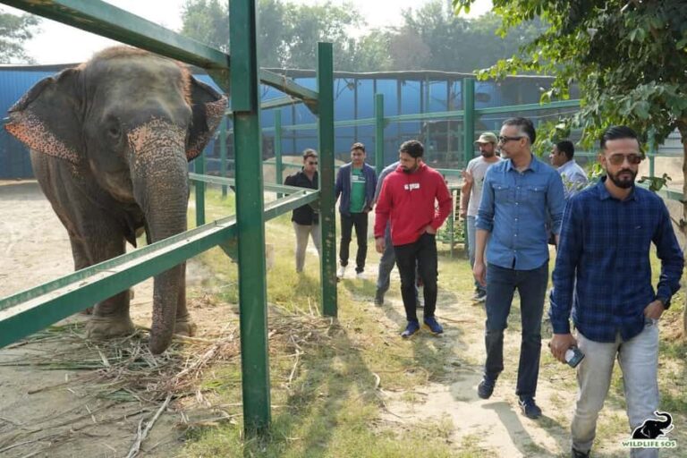 From Delhi: Taj Mahal & Agra Tour with Elephant Wildlife SOS - What Makes This Tour Stand Out?