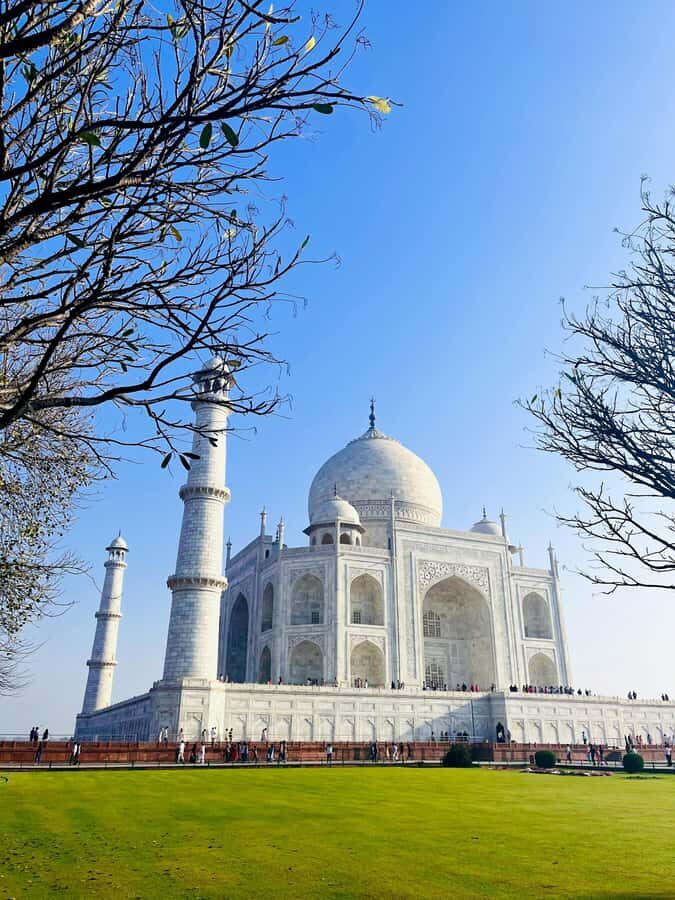 From Delhi:Private 4-Day Golden Triangle Luxury Tour by car - Transport and Guide Experience