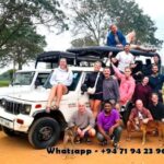 From Ella: Drop to Tangalle/Mirissa/Galle & Udawalawe Safari - The Safari Itself