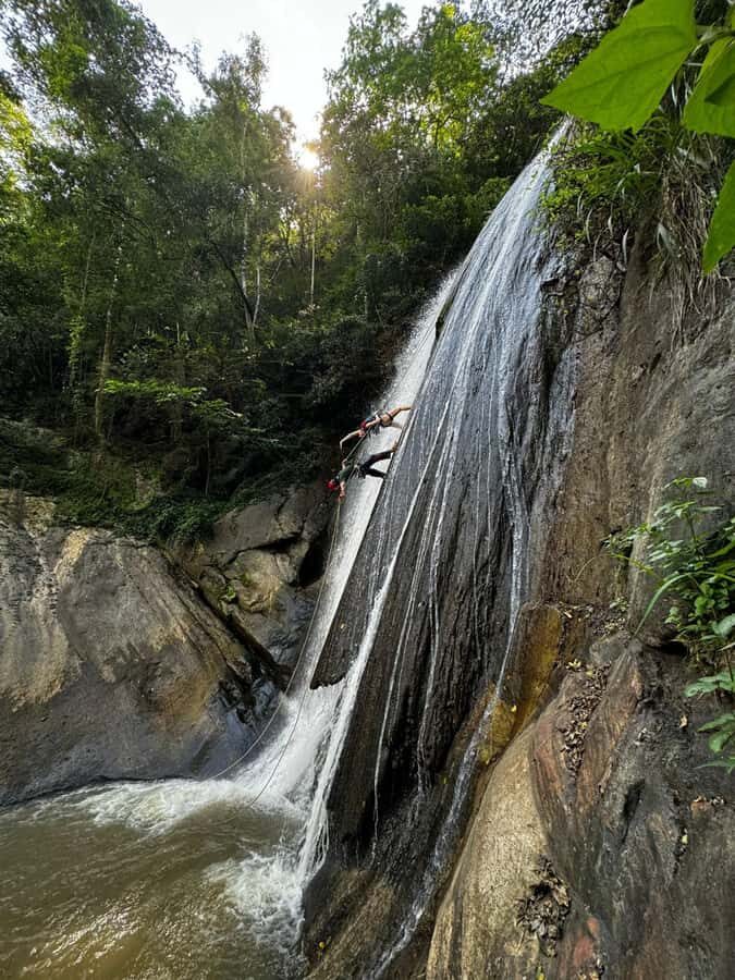 From Ella Waterfalls Abseiling Adventure  Thrill & Nature - The Value of This Adventure