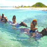 From Falmouth: Horseback Ride and Swim Beach Trip - Who Is This Tour Best For?