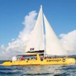From Falmouth/Ocho Rios: Negril Beach and Catamaran Cruise - Transportation and Timing