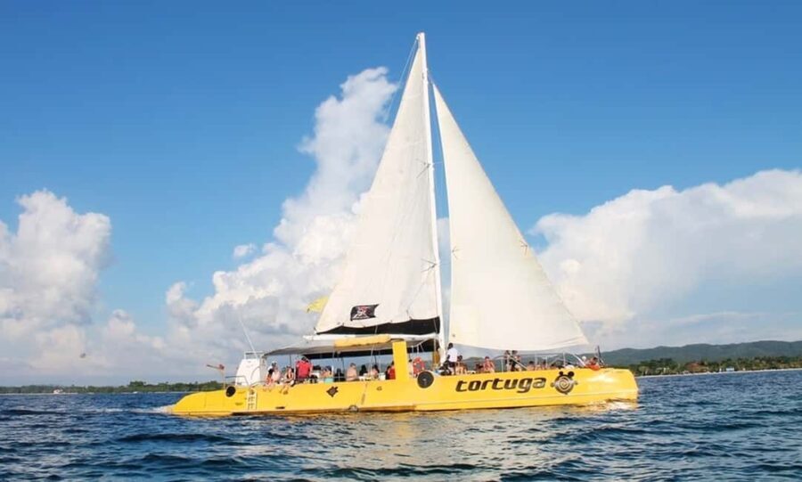 From Falmouth/Ocho Rios: Negril Beach and Catamaran Cruise - Transportation and Timing