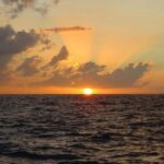 From Falmouth: Seven Mile Beach, Margaritaville & Ricks Cafe - What to Expect in Practice