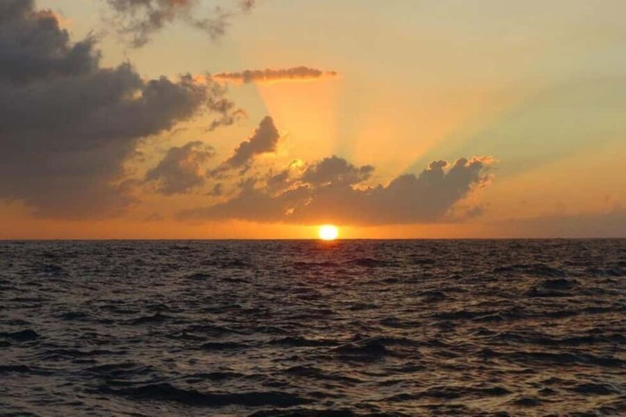 From Falmouth: Seven Mile Beach, Margaritaville & Ricks Cafe - What to Expect in Practice