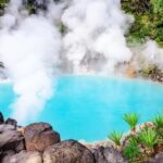 From Fukuoka: Yufuin, Beppu, Wildlife Park & Onsen Day Trip - The Itinerary: A Closer Look