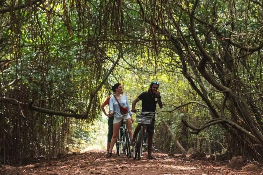 From Galle: All Inclusive Countryside Cycling Tour - What Makes This Tour Truly Special