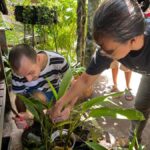 From Garden to Table: Indonesian Cooking Class in Yogyakarta - Who This Tour Is Perfect For