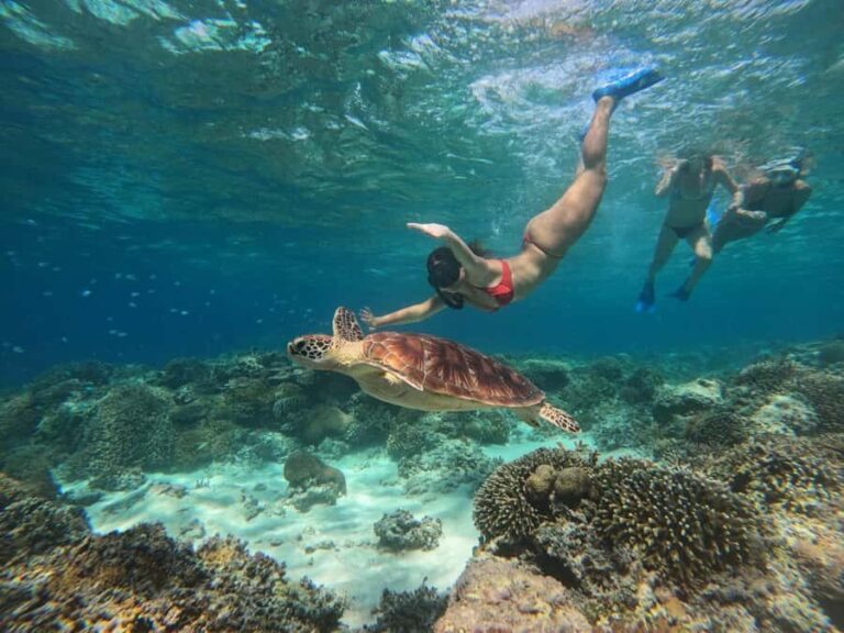 From Gili Air : 3 Islands Snorkeling Trip with Sea Turtles - The Practical Details: What Travelers Should Know