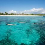 From Gili Air: Private or Small Group Snorkeling Boat Tour - The Value of Guided, Small-Group Snorkeling