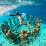 From Gili Meno: Private & Group Gili Islands Snorkeling - Who Is This Tour Best For?